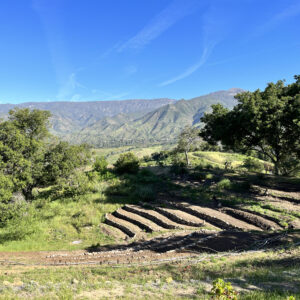 Retreats and Events | Topa Institute Retreat Center in Ojai, California